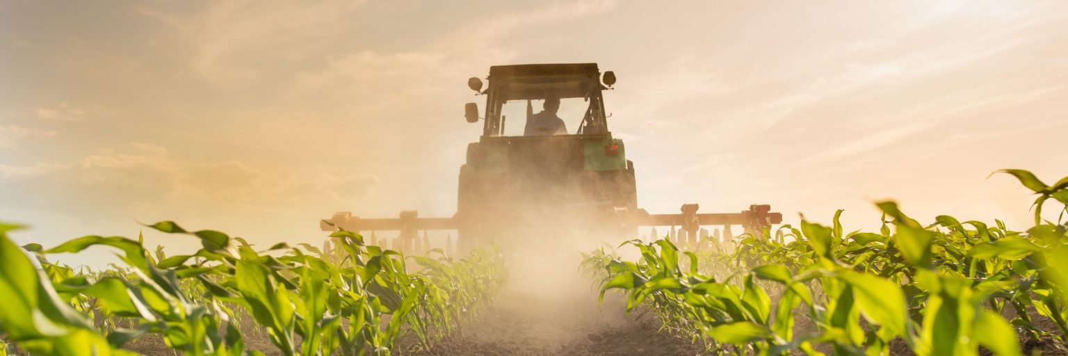 Tax implications of Biodiversity Net Gain (BNG)